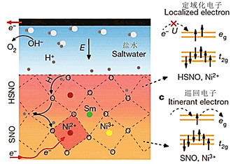Samarium Nickel Oxides Uses & Benefits - FUNCMATER
